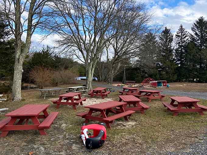 Picnic tables waiting for warmer days when breakfast tastes even better with a side of fresh air.