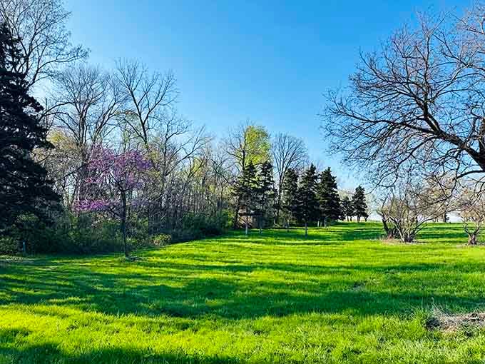 Spring green meadows stretch endlessly, reminding you that Illinois does "flat" with surprising style and grace.