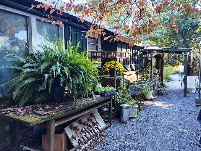 The Wildflower Cafe's garden entrance makes you slow down before you even taste the food inside.