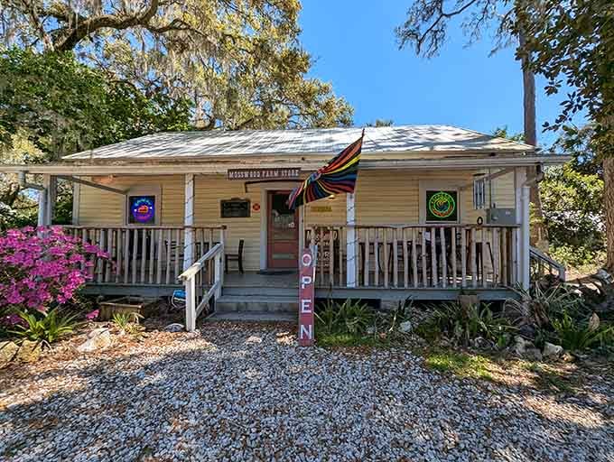 Mosswood Bakehouse occupies a cottage so quaint it makes gingerbread houses look like industrial warehouses by comparison.