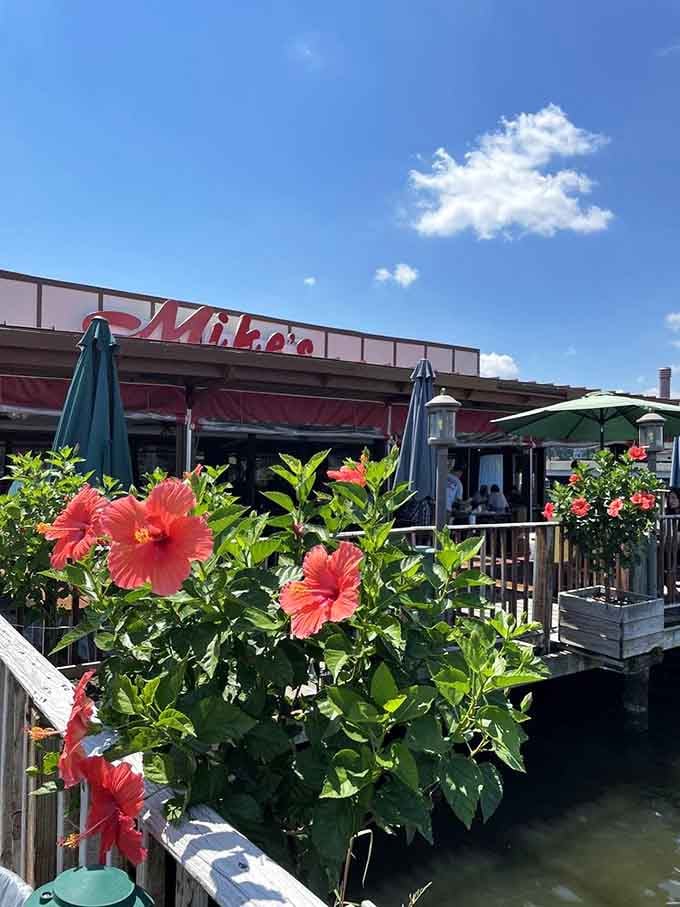 Bright hibiscus blooms frame the entrance, adding a splash of tropical color to this decidedly Maryland seafood institution by the water.