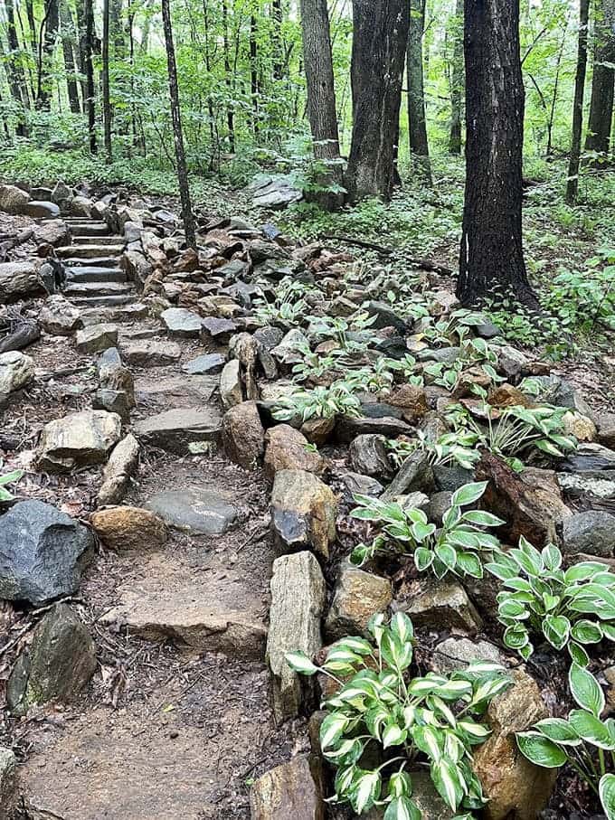 Stone steps wind upward through the forest, each one placed by hands that understood patience wasn't just a virtue.