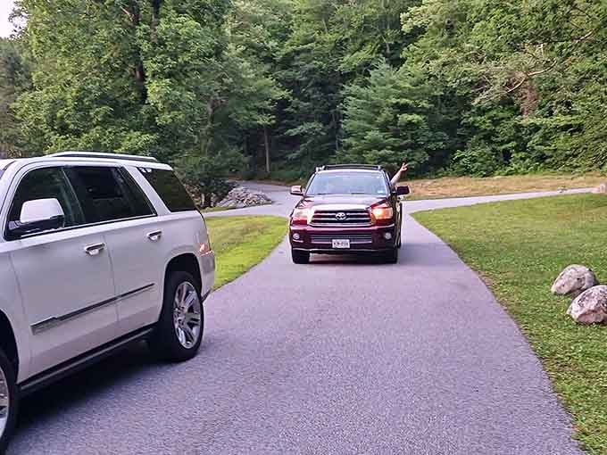 Well-maintained roads throughout the park make accessing all these natural wonders refreshingly easy and stress-free.