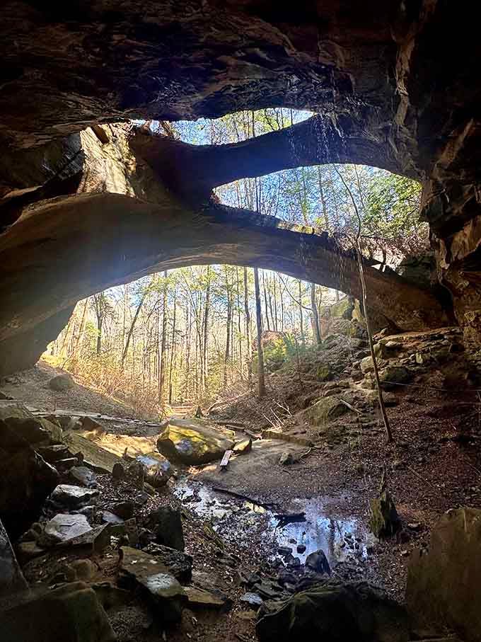 Looking up from inside the bridge reveals nature's cathedral ceiling, complete with skylights that no architect could improve.