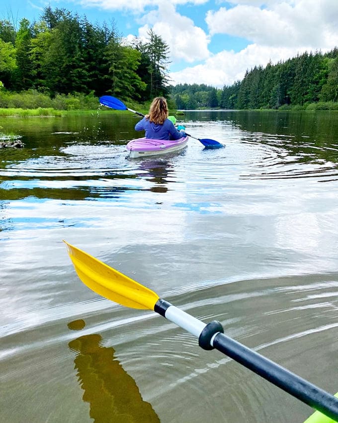Kayaking across glass-smooth water where the only traffic jam involves deciding which cove to explore next today.