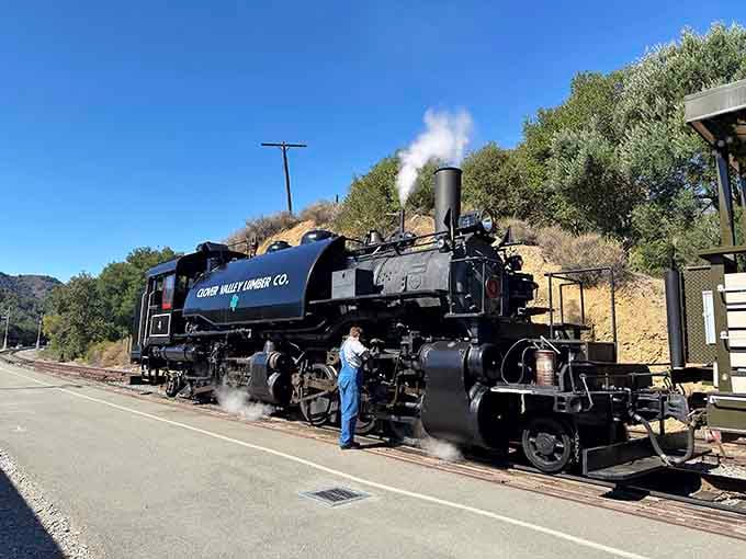 Steam locomotives require constant attention and expertise, which these passionate volunteers provide with remarkable dedication and skill.