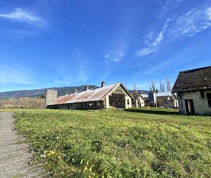 Blue skies frame these ruins perfectly, reminding us that even abandoned places can shine in the right light.