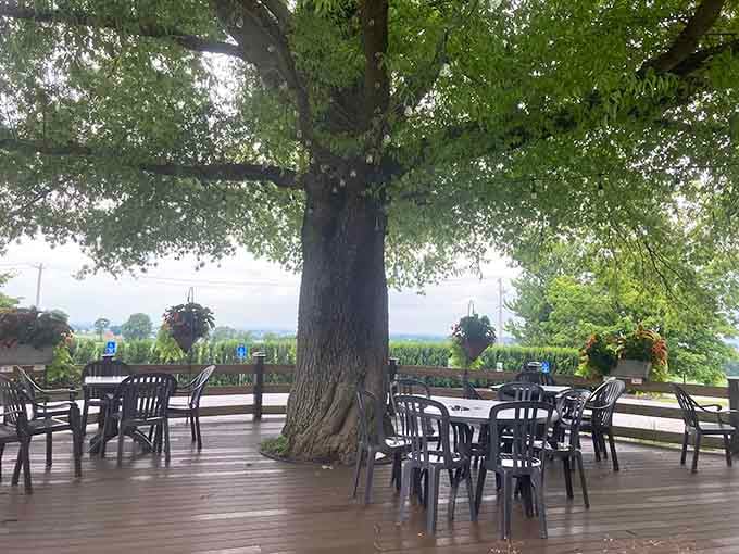 Dining under a majestic tree on the deck feels like you've discovered a secret garden where they happen to serve exceptional food.