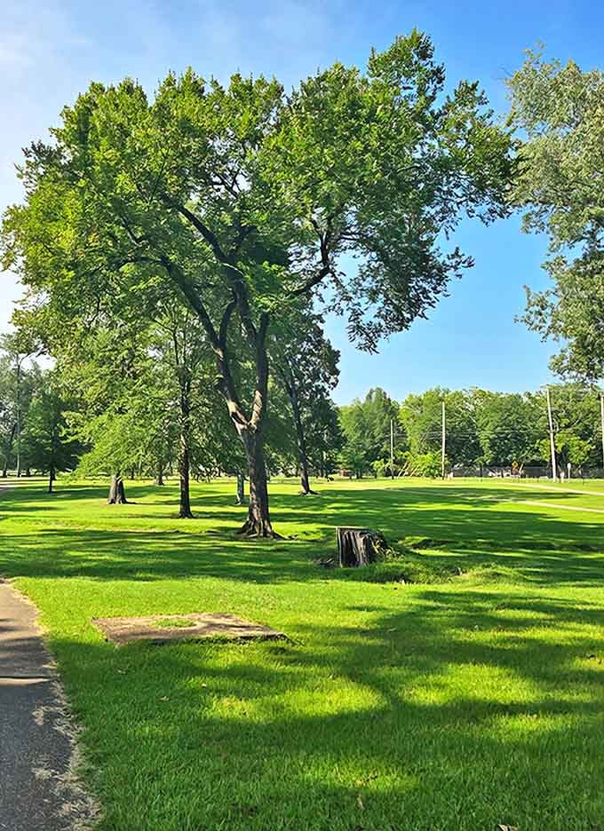Corinth's parks offer tranquil green spaces where massive trees provide nature's air conditioning. Southern summers are more bearable under these leafy giants.
