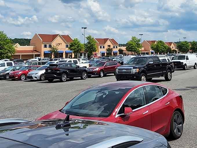 The parking lot tells the true story: Georgians from all walks of life unite in the universal pursuit of not paying full price.