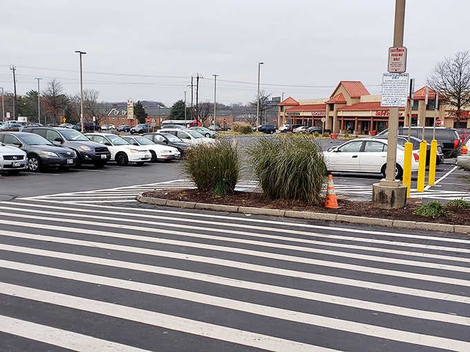 Even the parking lot speaks volumes&mdash;packed with cars of treasure hunters from all walks of life, united by the thrill of the find.