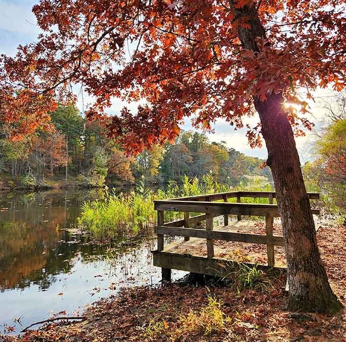Lakeside benches framed by fall colors, the perfect spot for contemplation or pretending you're in a movie.