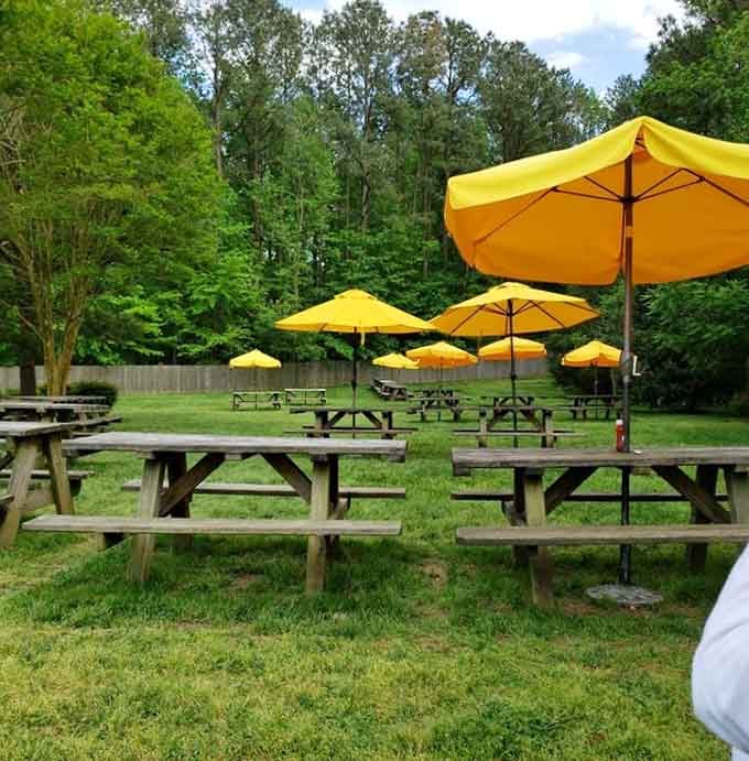 Sunny yellow umbrellas shade picnic tables where you can enjoy your barbecue feast surrounded by Virginia's natural beauty and fresh air.