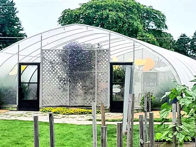 This charming greenhouse nurtures delicate butterflies and reminds visitors that beauty thrives in the most unexpected places.