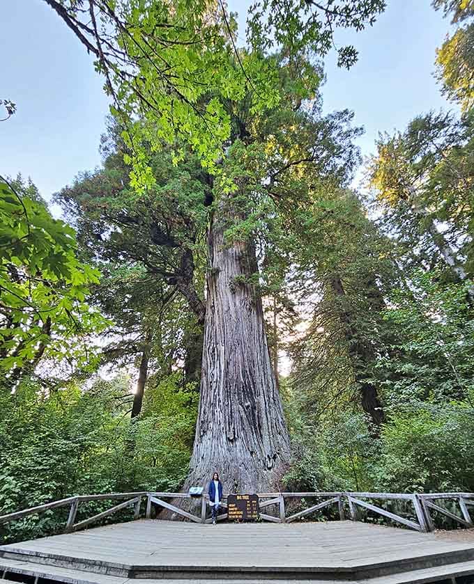 Standing next to this giant makes you realize your problems are actually pretty small in the grand scheme.