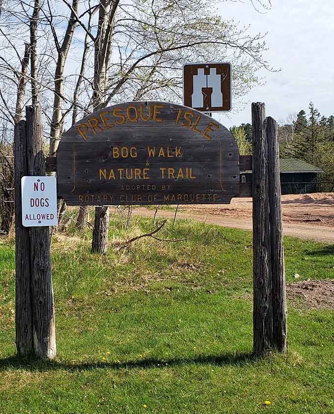 Trail signage pointing toward the bog walk, where carnivorous plants await like tiny vegetarian vampires with different dietary preferences.