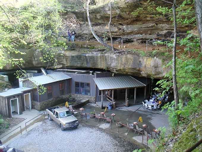 From above, the saloon looks like nature's secret hideaway that someone brilliantly turned into lunch.