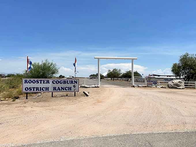 The entrance welcomes you to something genuinely special, where normal rules about reasonable activities don't apply.