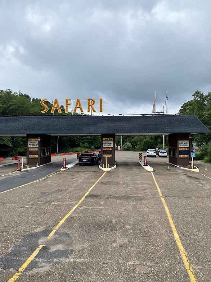 That golden "SAFARI" sign against stormy skies promises adventure is just beyond the entrance gates ahead.