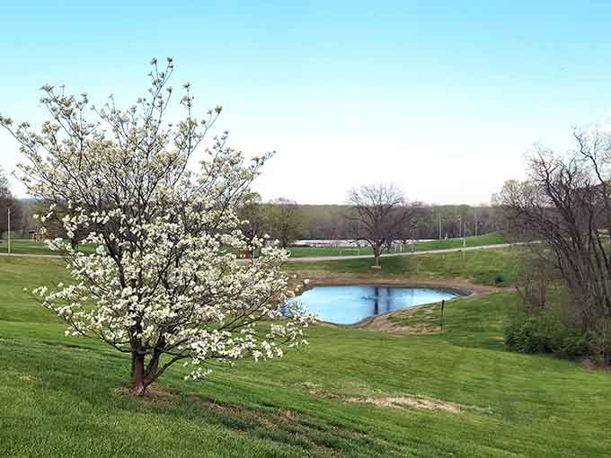 Pere Marquette Park offers the kind of springtime serenity that makes stress feel like a distant memory.