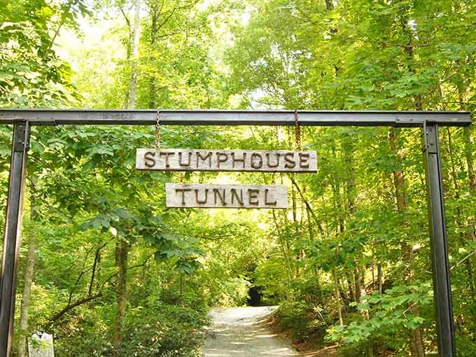 This simple sign marks the gateway to one of South Carolina's most wonderfully weird historical treasures.