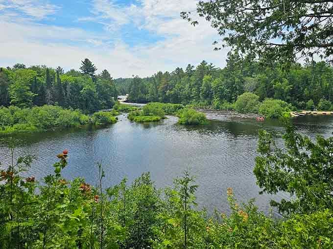 The Tahquamenon River winds through wilderness that stretches farther than your weekend plans ever could.
