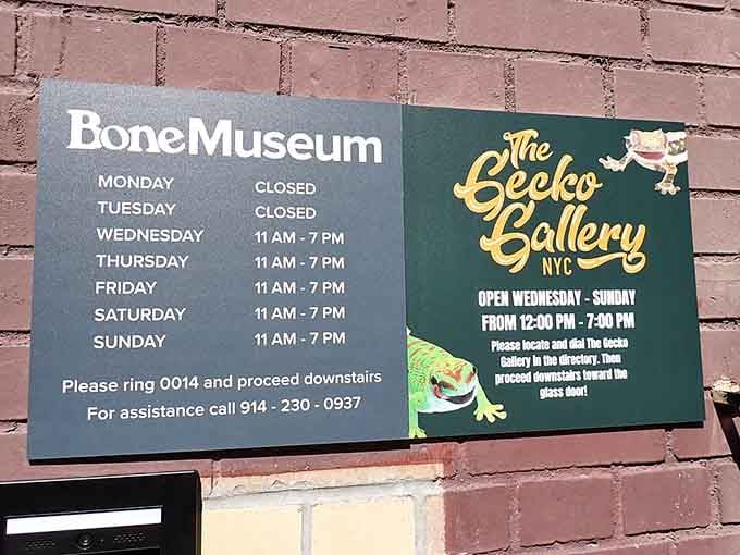 Operating hours posted clearly, because even museums dedicated to death need to maintain regular business schedules for visitors.