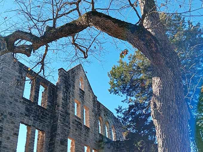Ancient trees framing ancient stones create a scene that's equal parts haunting and beautiful, like a really good ghost story.
