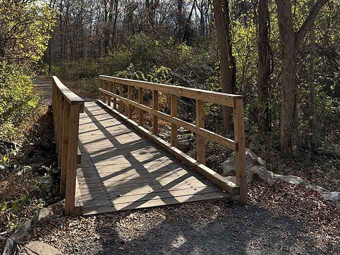 A wooden bridge crosses into the forest, inviting you to leave pavement behind and remember what walking was invented for.