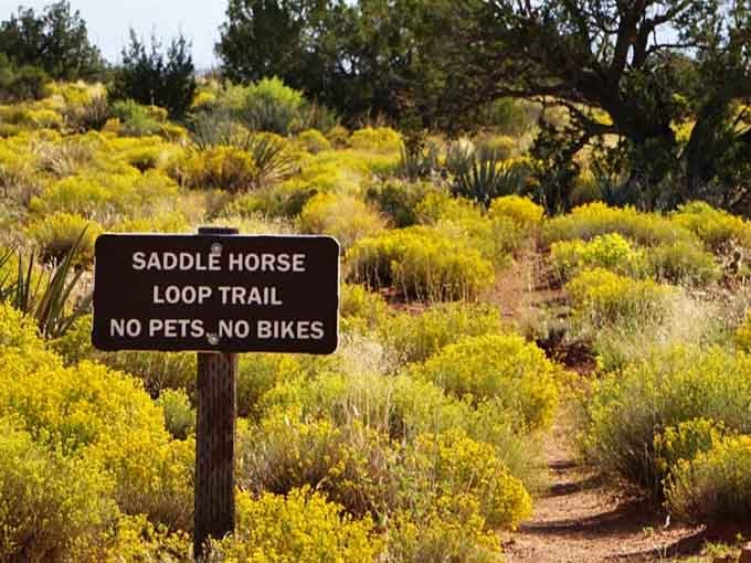 The Saddle Horse Loop Trail beckons adventurers, though your own two feet work just fine for exploring here.