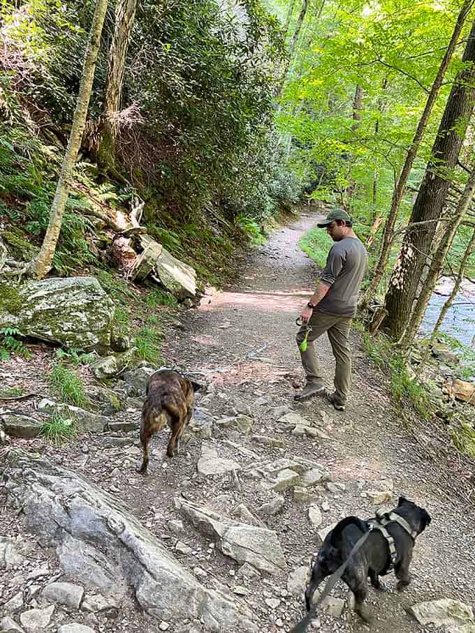 Trail companions of all species enjoy the peaceful paths, where leashes and good manners ensure everyone's happy.