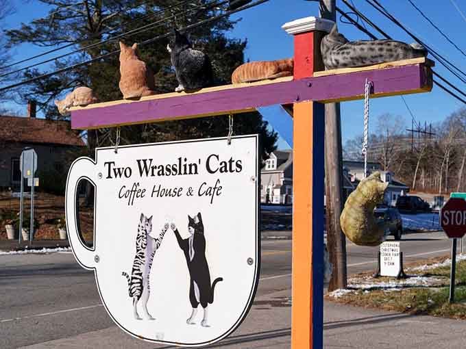 Even the roadside sign features cats, because commitment to a theme is everything in this business.