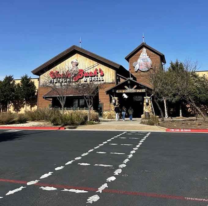 From the parking lot, it looks like a regular cabin until you realize what wonderfully weird magic awaits.