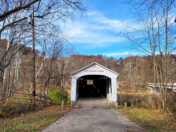 A covered bridge in the woods is Indiana's way of combining practical engineering with postcard-worthy beauty.