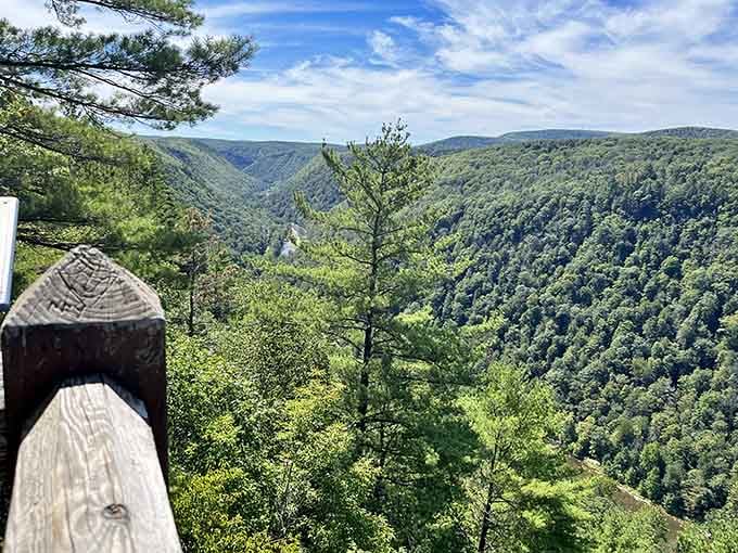 Pennsylvania Grand Canyon delivers views that make you wonder why anyone bothers flying out west.