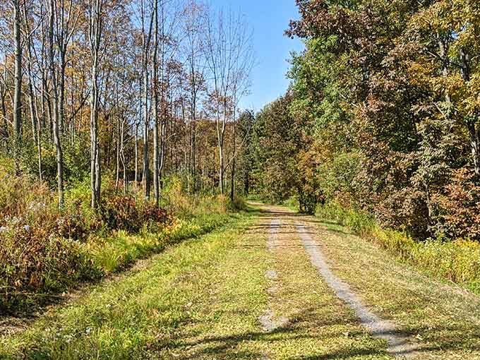 This tranquil trail in Wilderness Park offers nature's version of therapy&mdash;no appointment needed, just comfortable shoes and a willingness to unplug.