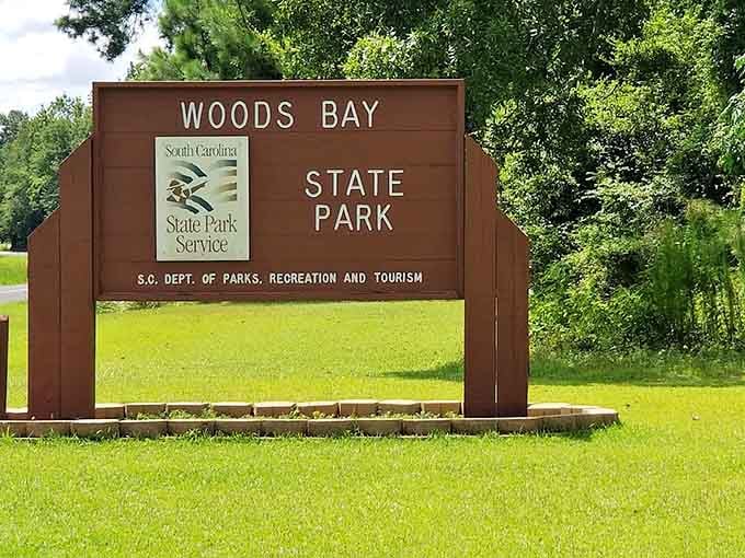 That classic brown sign marks the gateway to one of South Carolina's most underappreciated natural treasures.