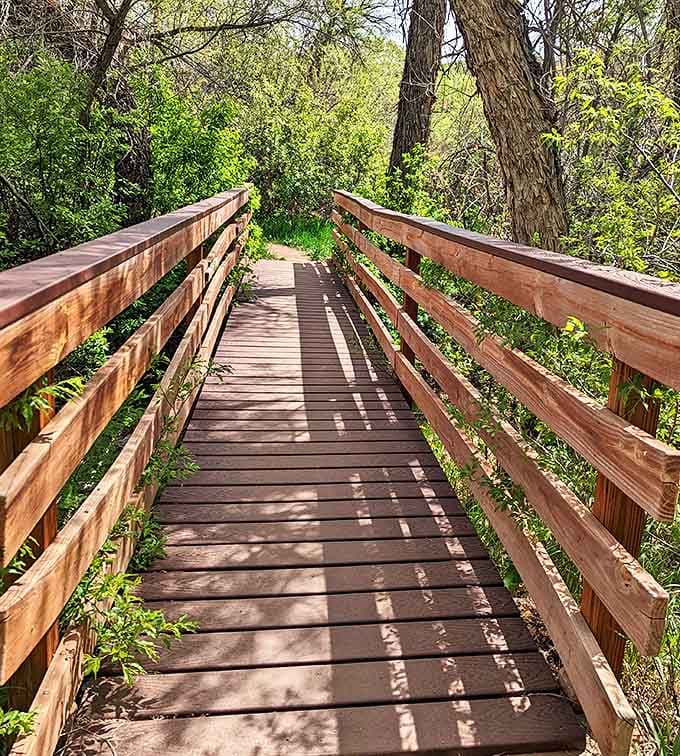 Wooden boardwalks guide you through lush greenery like nature's version of the yellow brick road. Magic awaits.