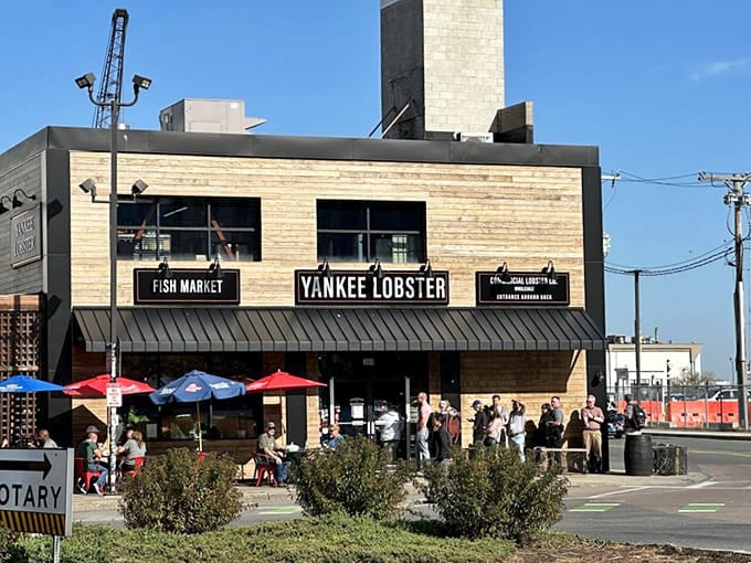 From this vantage point, you can almost hear the seagulls arguing over who discovered this seafood haven first.