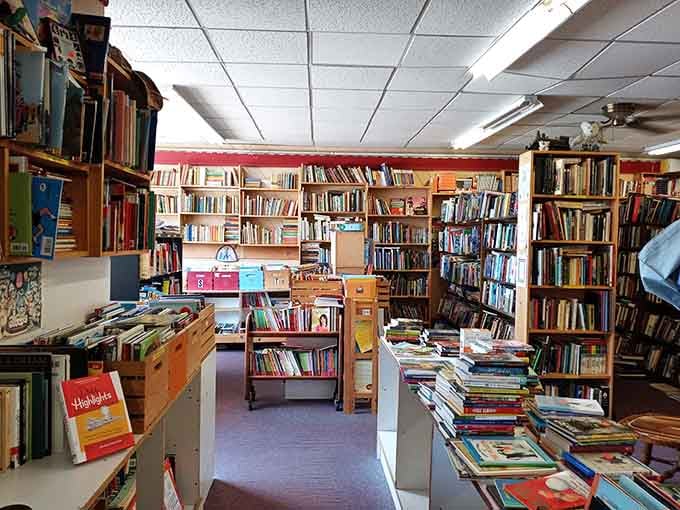 Shelves stretching into infinity, proving that too many books is a concept that simply doesn't exist here.