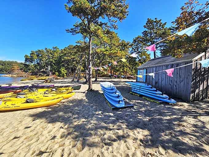 Beach, boats, and endless blue skies&mdash;the holy trinity of summer fun. These colorful kayaks are your tickets to pond exploration.