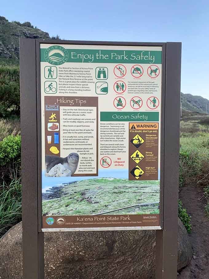 Warning signs that somehow make dangerous conditions look inviting. "Hazardous" never looked so beautiful.