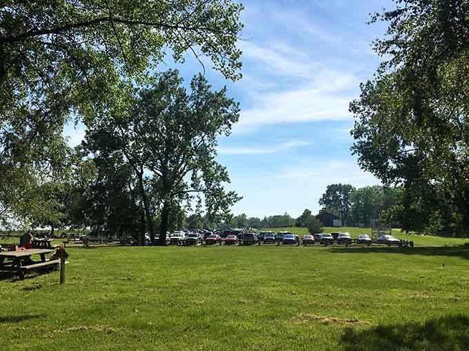 Parking with a purpose. These vehicles represent hundreds of stories unfolding simultaneously in this coastal sanctuary.