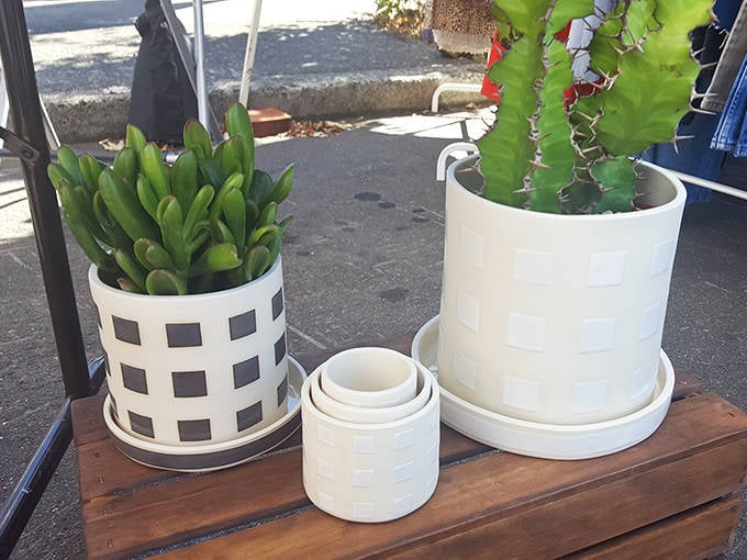 Succulents and ceramics create a perfect pairing of form and function&mdash;living art that brings a touch of Portland's plant culture home.