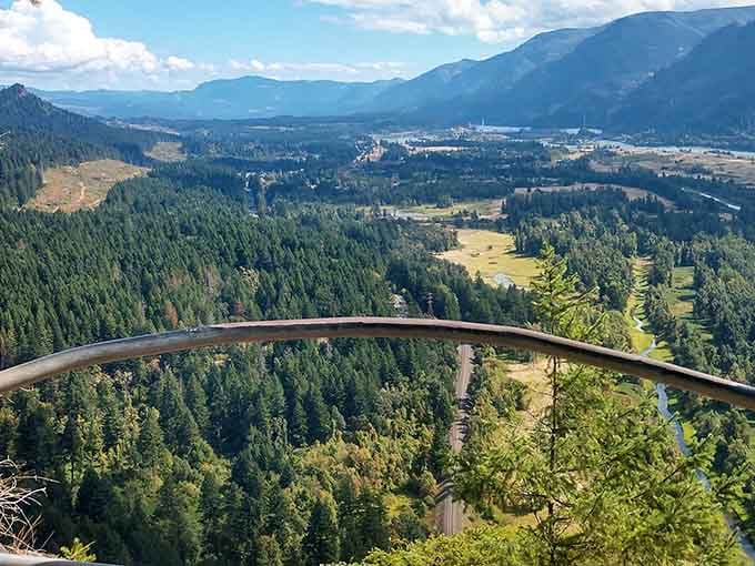 The summit view delivers a panorama so breathtaking it makes you forget the burning sensation in your calves from the climb.