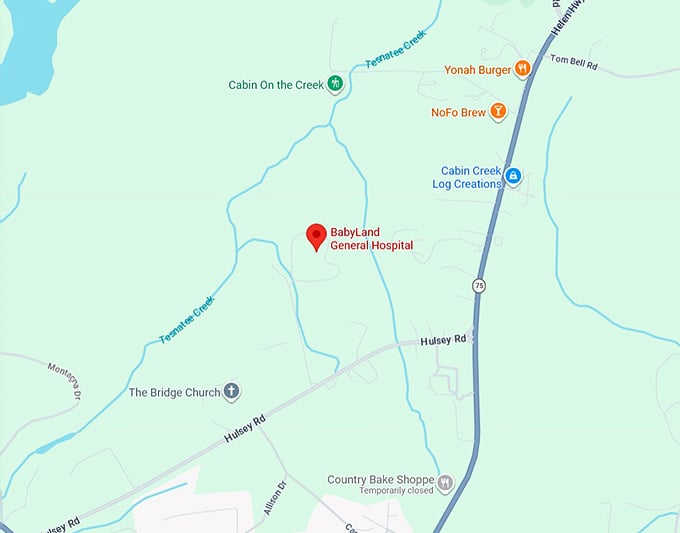 16. babyland general hospital map