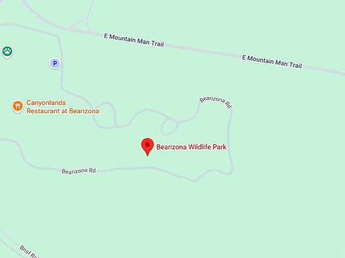 16. bearizona wildlife park map