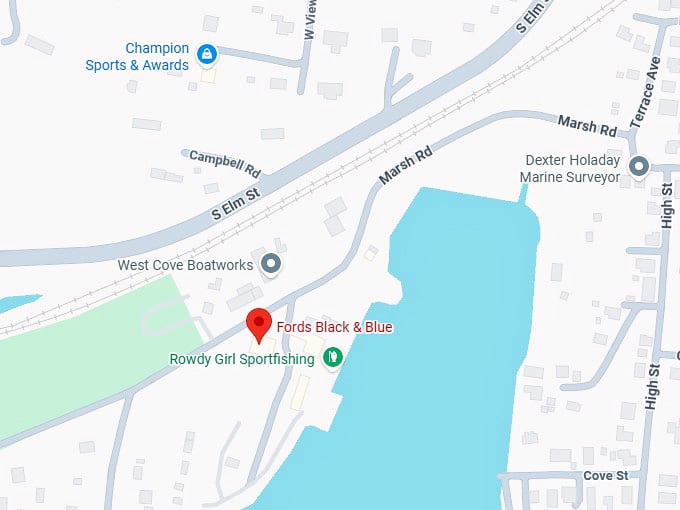 16. ford&rsquo;s black & blue map