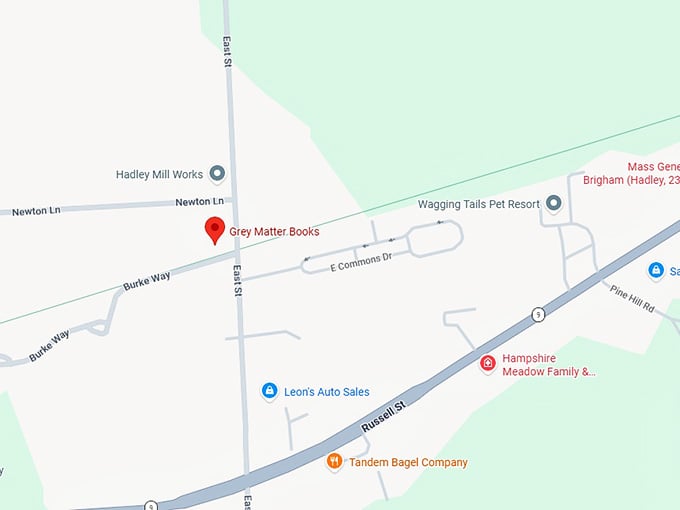 16. grey matter books map