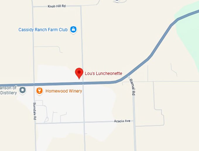 16. lou's luncheonette map